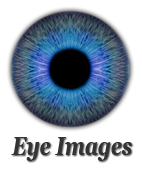 Monday, 14 de April de 2025 Help